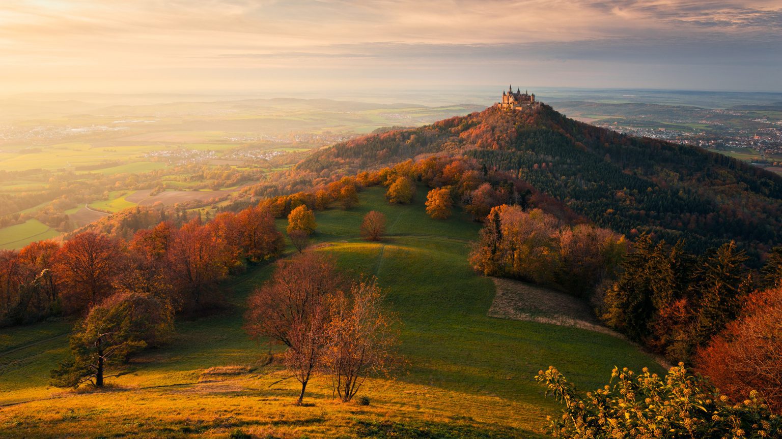 SeeReal Technologies